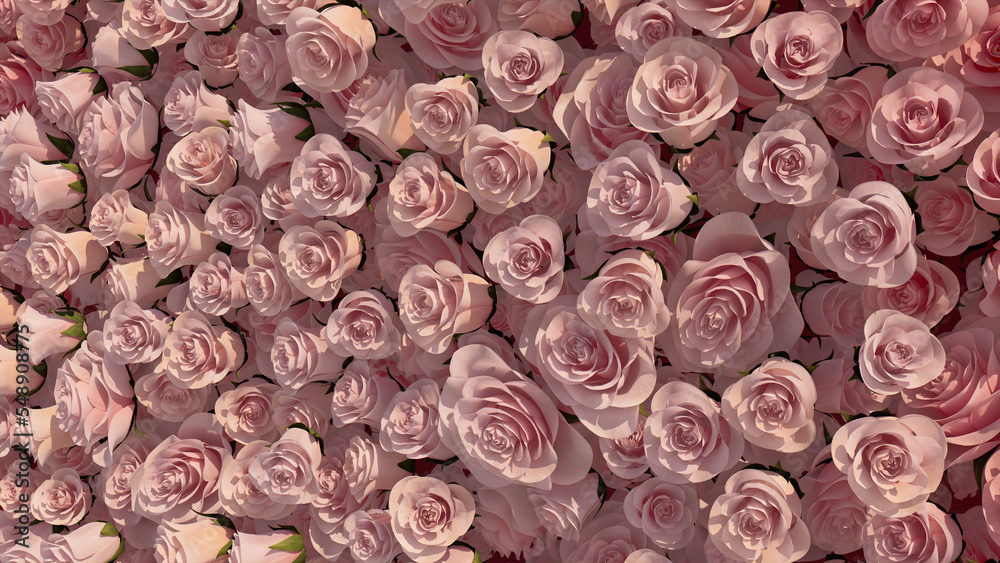 Beautiful, Bright Wall background with Roses. Elegant, Floral Wallpaper ...