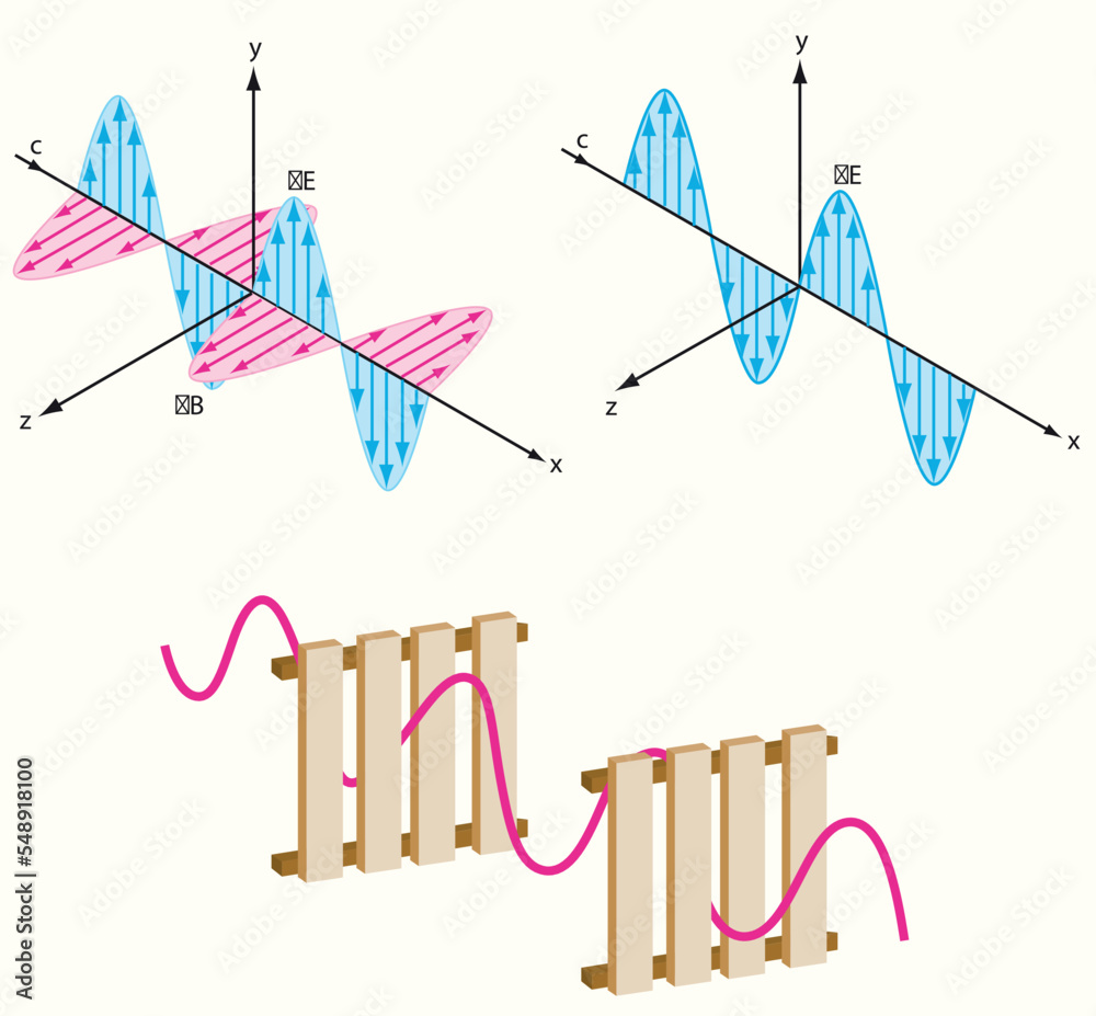 Vetor de physics. spring stretched. transverse waves. longitudinal. The ...