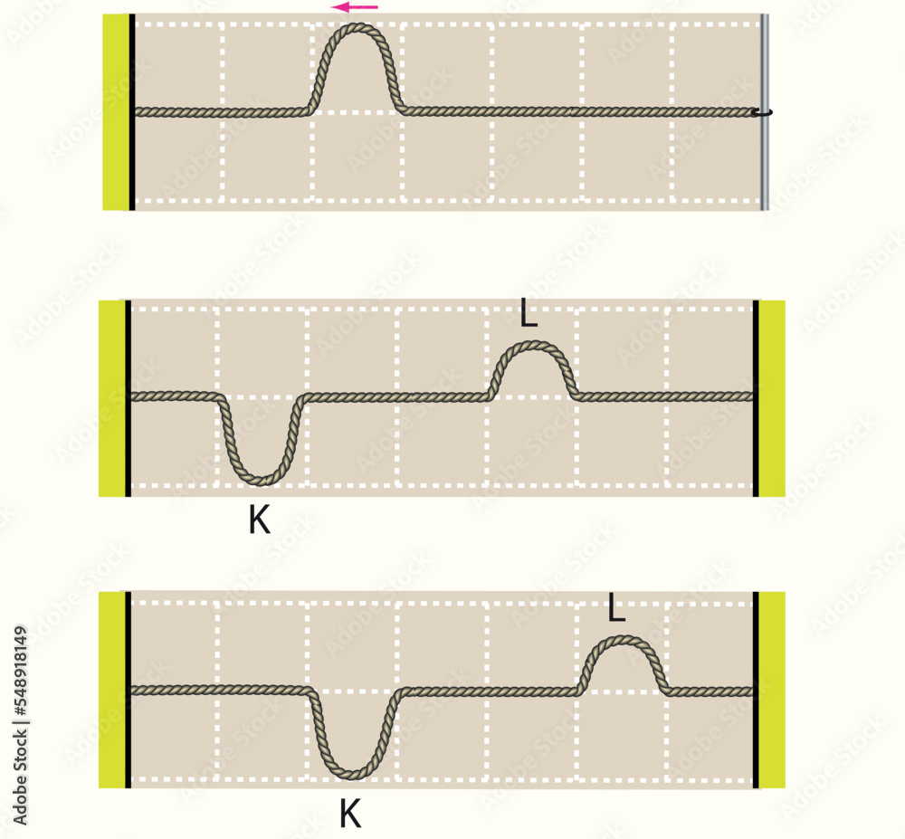 physics. spring stretched. transverse waves. longitudinal. The ...