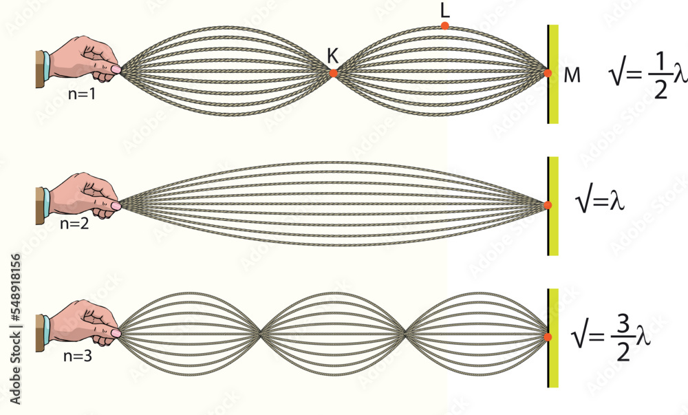 physics. spring stretched. transverse waves. longitudinal. The ...