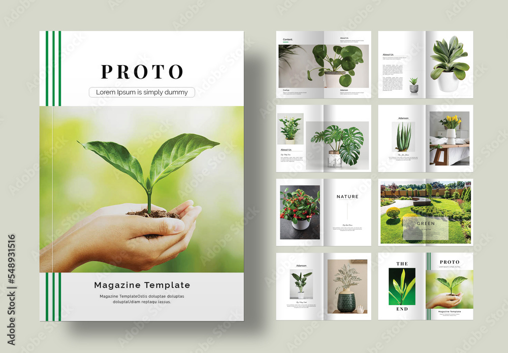 Proto Magazine Stock Template | Adobe Stock