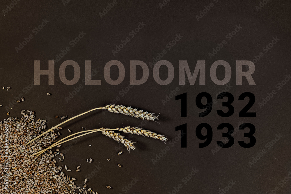 Grain and three spikelets on a black background. Symbol of the tragedy ...