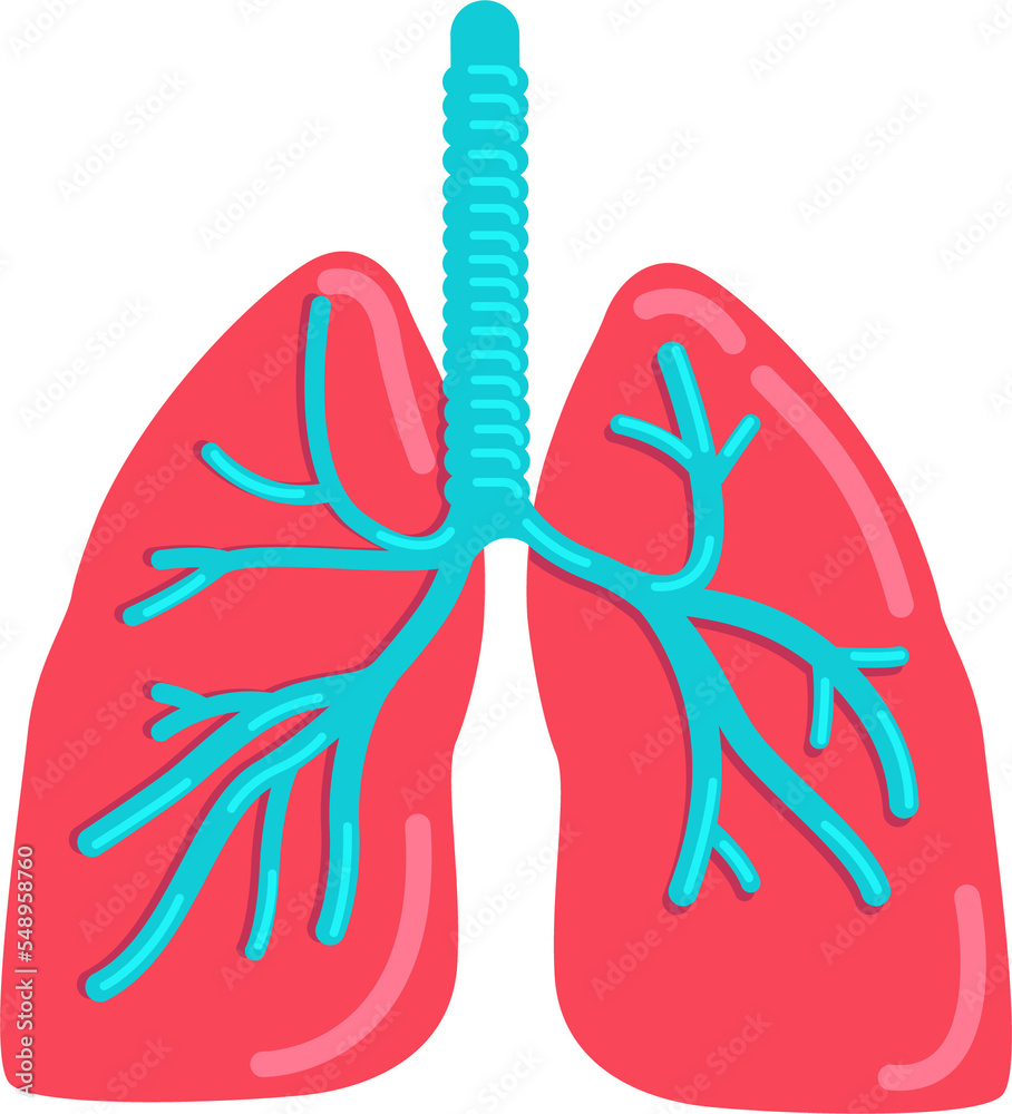 Lungs semi flat color vector object. Respiratory system. Internal organ ...