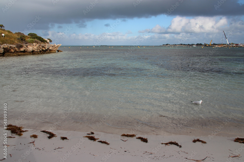 indian ocean at thomson bay at rottnest island in australia Stock Photo ...