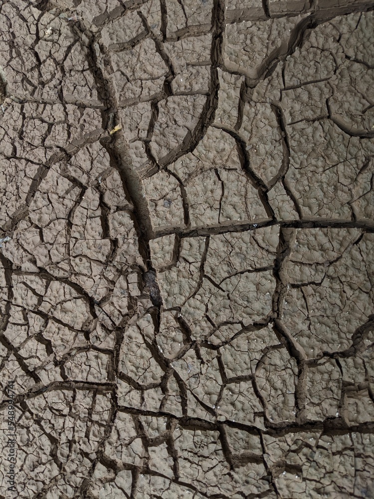 Close up photo of texture of surface dry mud after rain season. The ...