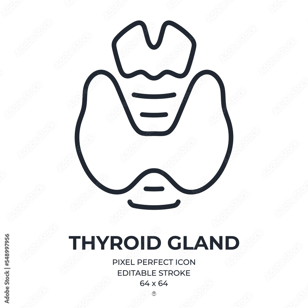 Thyroid gland editable stroke outline icon isolated on white background ...