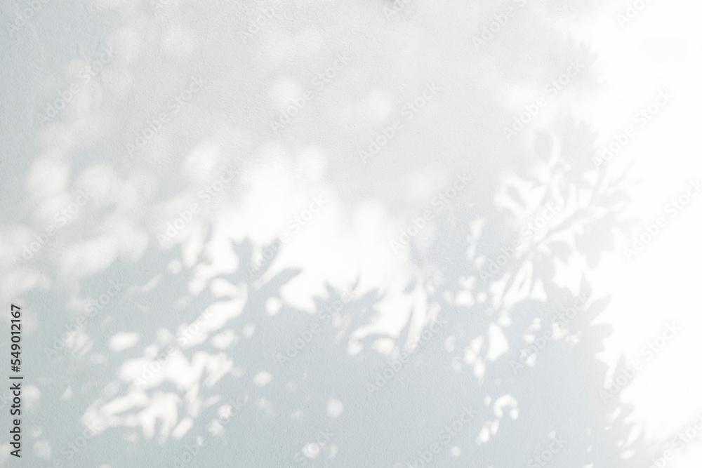 Tree shadow and light of leaf branch background. Nature leaves tropical ...