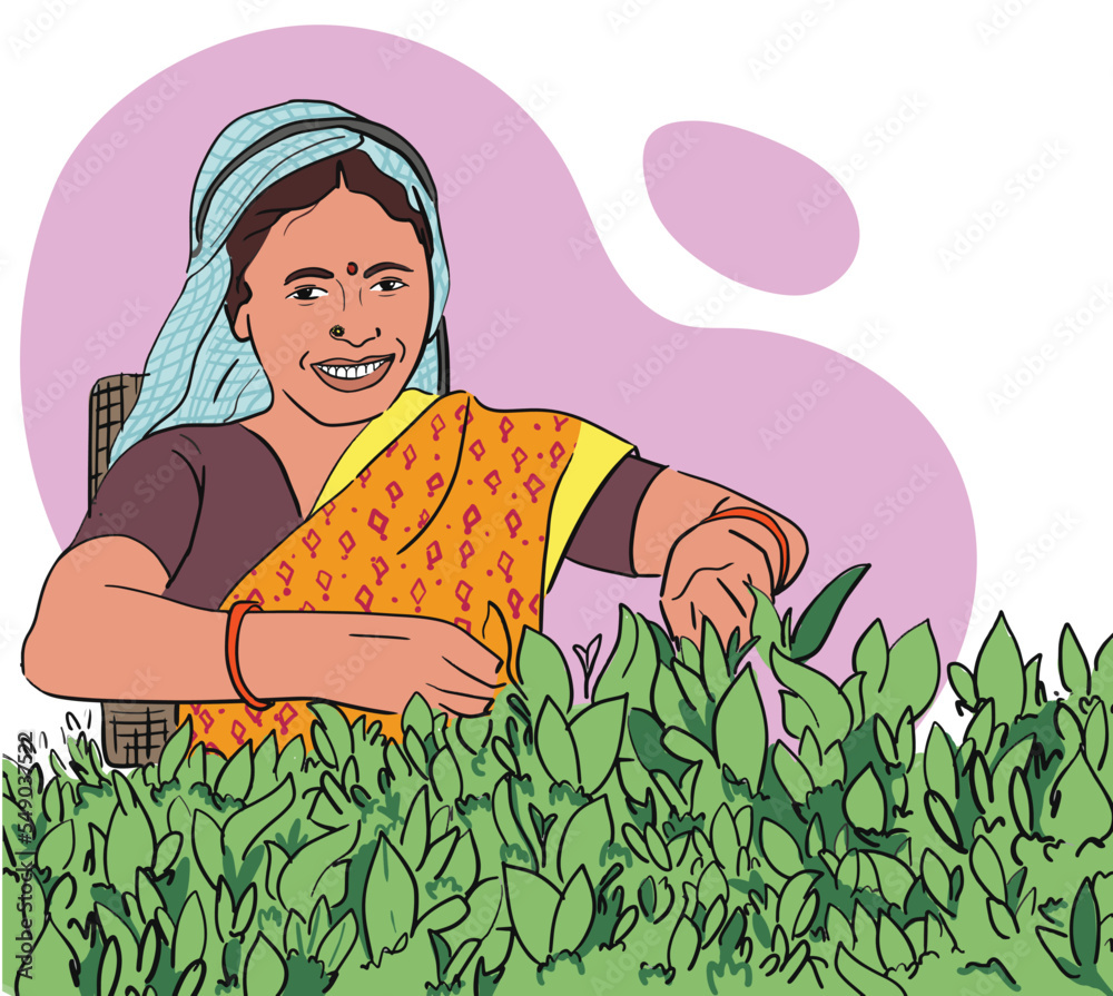 indian Woman character cutting and picking up tea leaves. plucking tea ...
