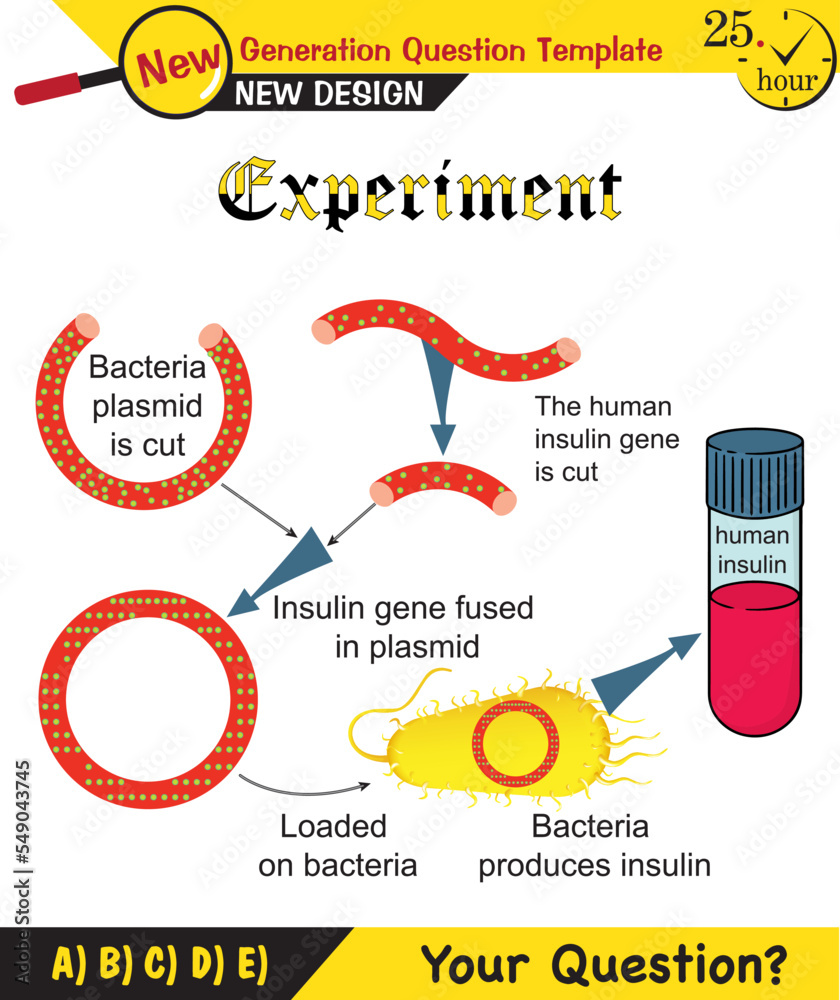 Biology, Heredity Combination, Mendelian genetics, heredity, Peas ...