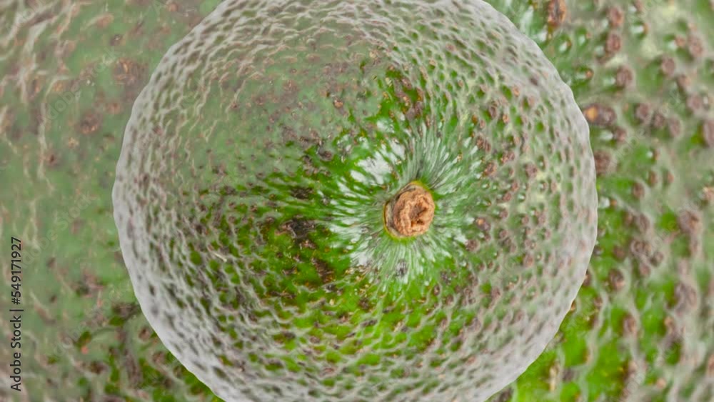 Zooming Avocado in seamless loop background. Exotic fruits in seamless ...