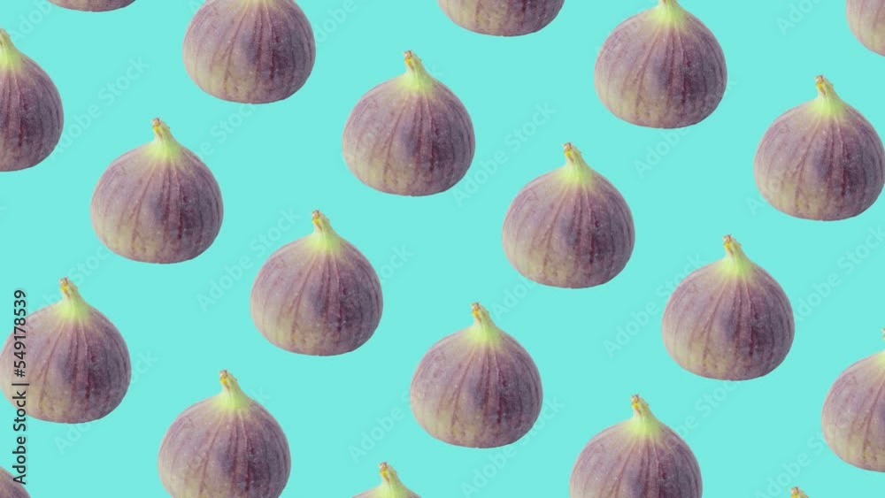 Figs in animated grid seamless loop pattern on a light blue background ...