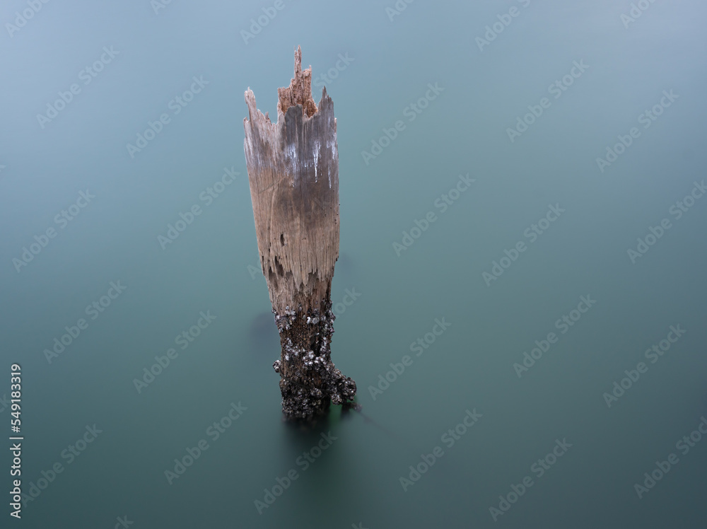Upright wooden poles left to rot in the sea. Long exposure gives silky ...