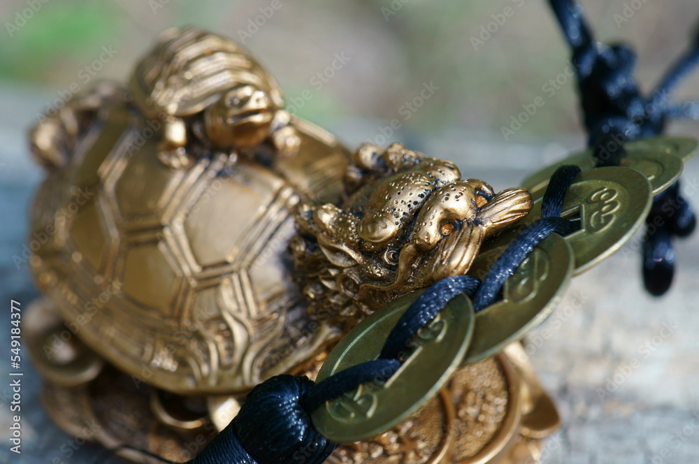 Dragon turtle with Chinese coins. Esotericism and feng shui. Talismans ...