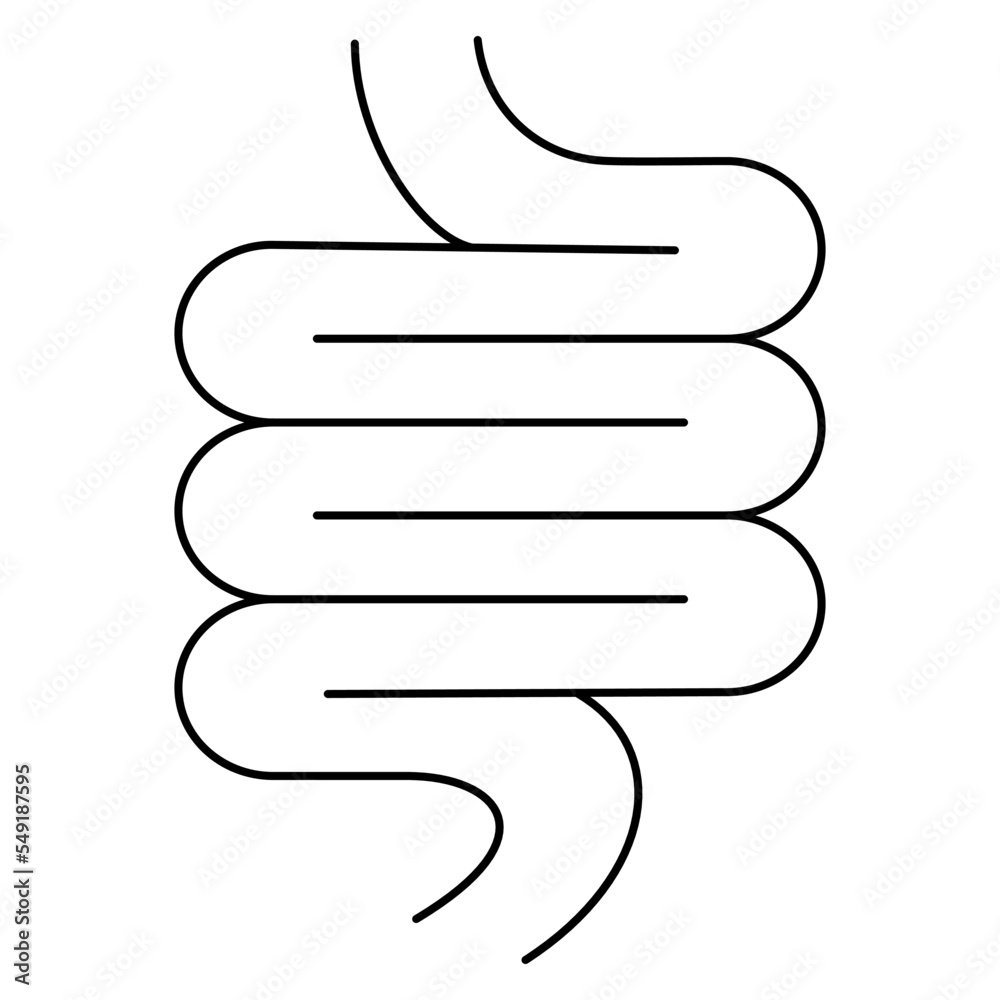 Gastrointestinal tract or human digestive system. Modern minimal black ...