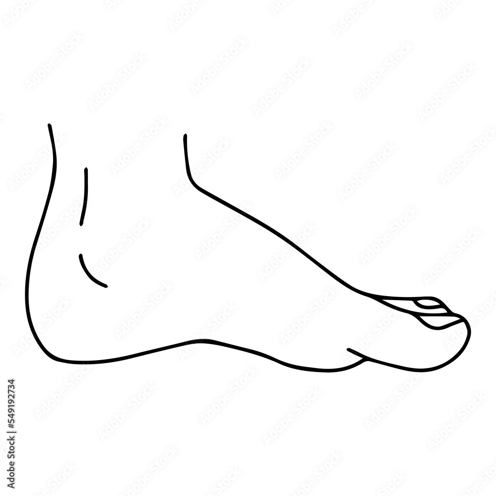 Vector Cartoon outline, Top view of Human man Left and right foot ...