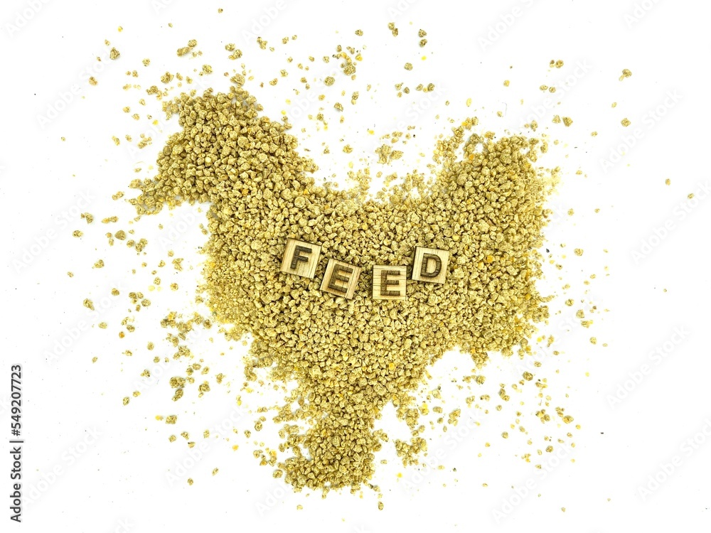 CONCEPT, Animal Feed Quality and performance, conversion ratio ...