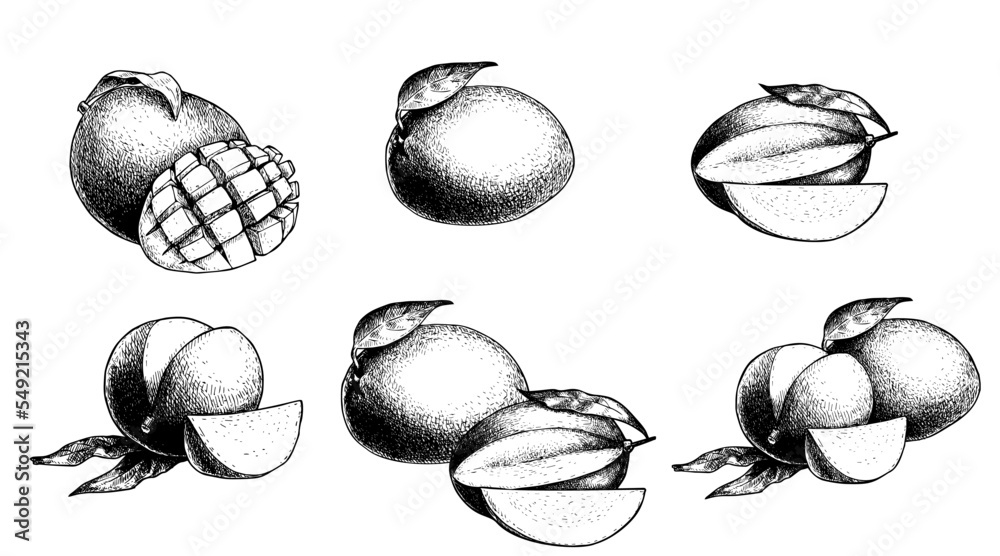 Hand drawn mango set. Mango fruits with leaves, slices and cubes ...
