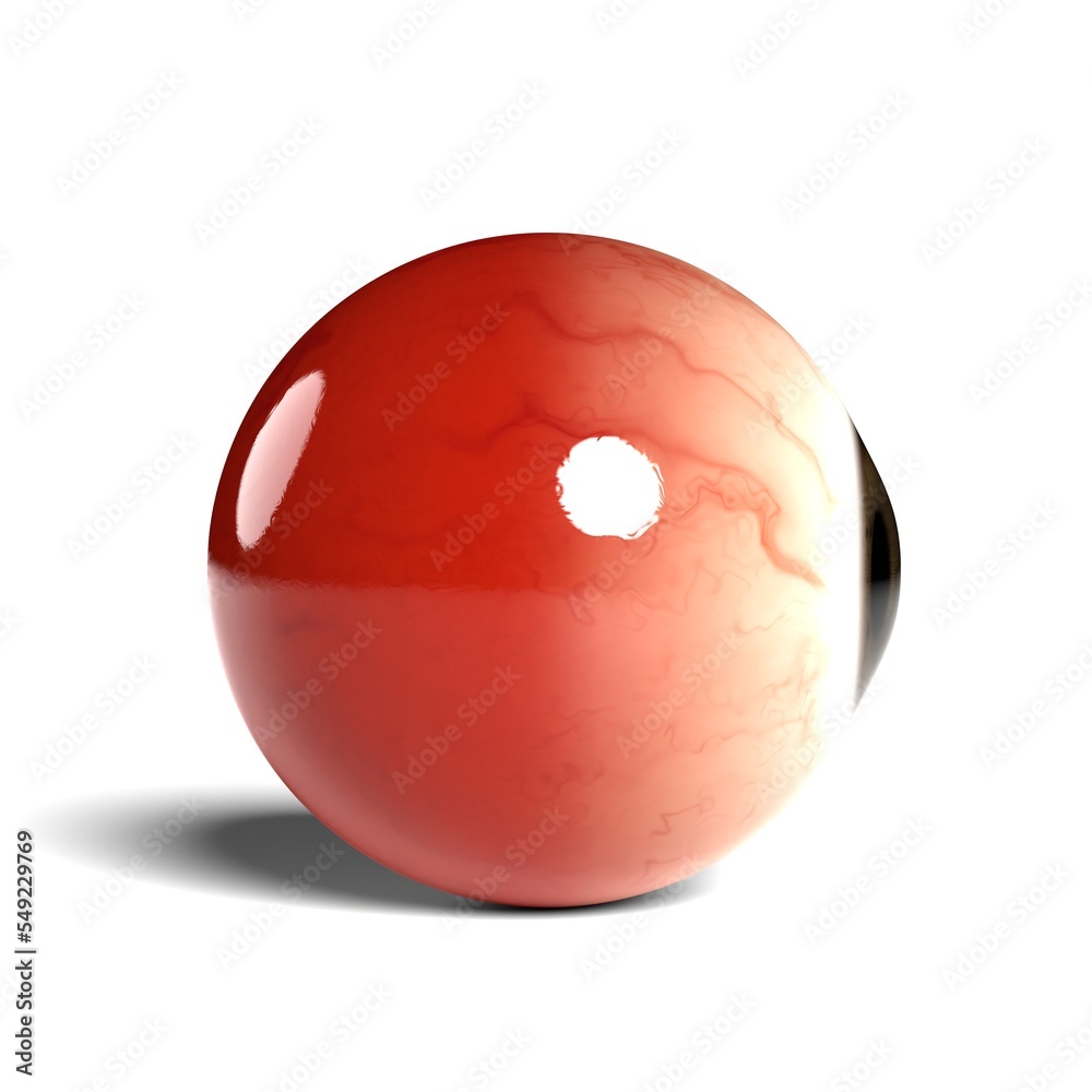 Side view of realistic human eyeball isolated on wihte background, 3D ...