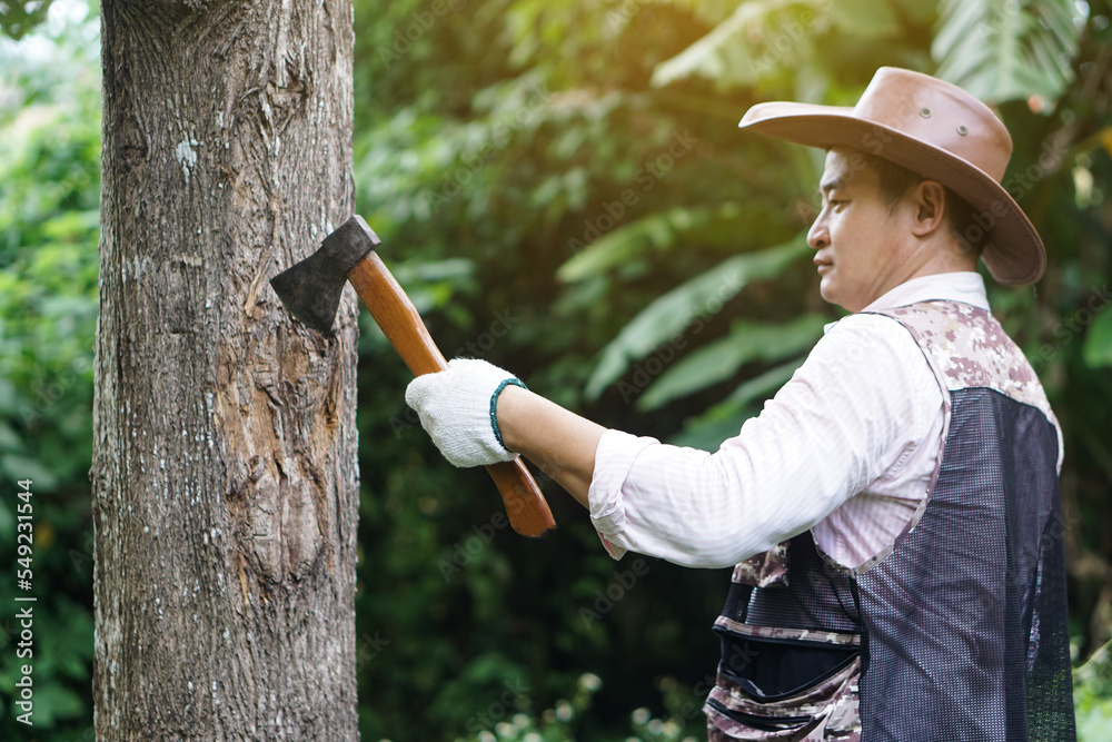 Asian man woodcutter holds axe to cut tree. Concept, Manual tool for ...