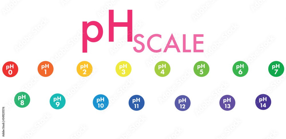 Vetor do Stock: pH value scale chart for acid and alkaline solutions ...