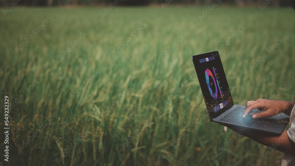 intelligence farmer and technology concept, woman hand holding computer ...