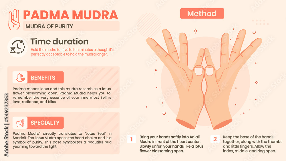 Exploring the Padma Mudra Benefits, Characteristics and Method -Vector ...