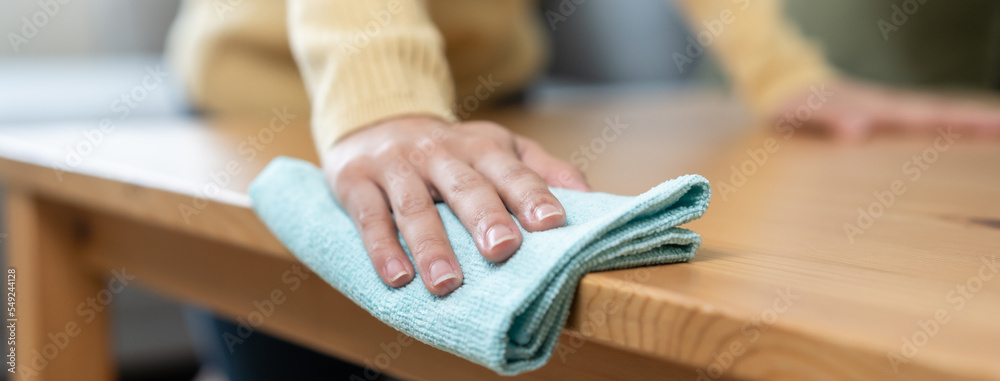 Happy cleanliness, cute asian young woman, girl working chore, cleaning ...