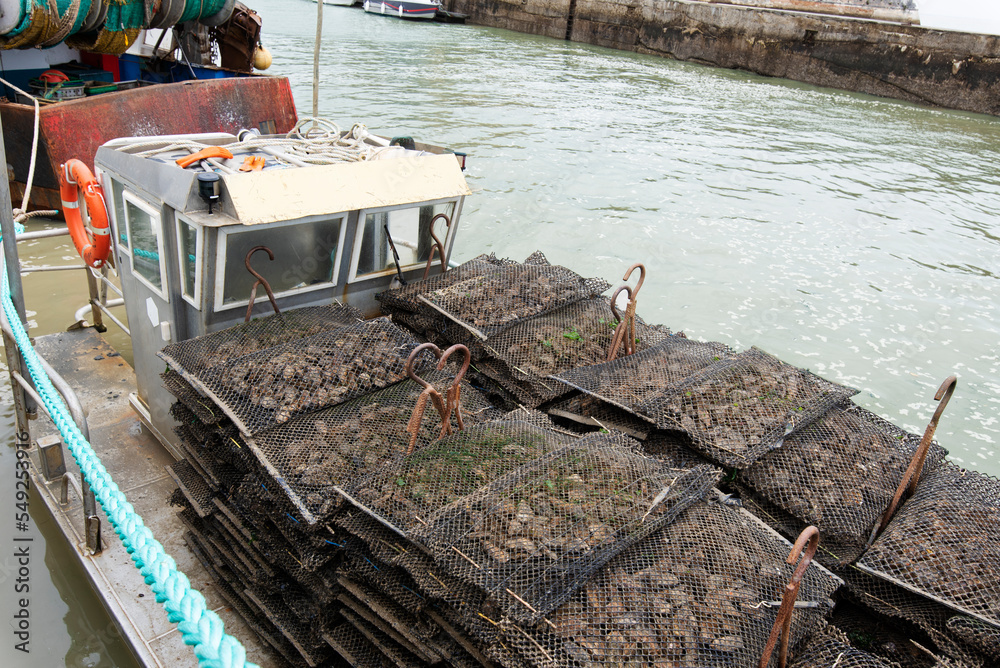 Foto de Chaland ostréicole dans un chenal sur l'île d'Oléron, France do ...