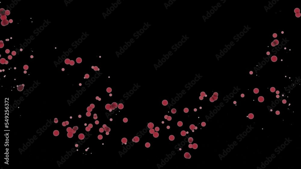 Vidéo Stock Red blood cell moving. The blood vessels are the components ...