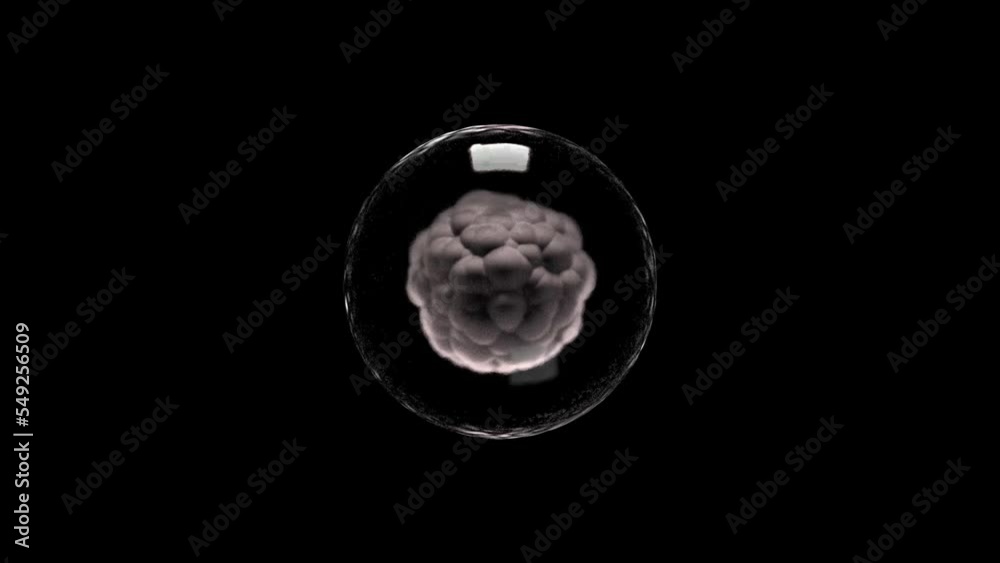 Cellular Division and Growth of some cell like lifeform. Cell core 3d ...