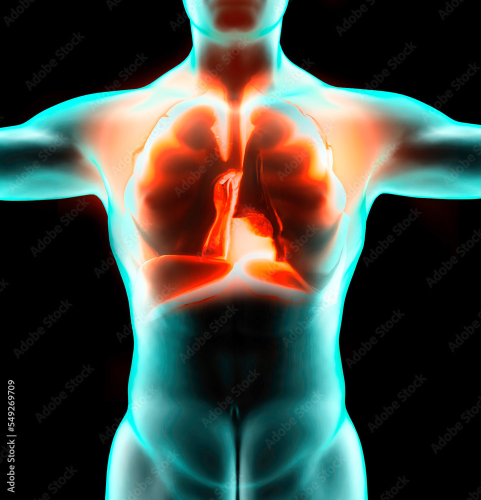 Human anatomy, problems with the respiratory system, severely damaged ...