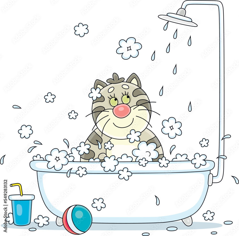 Funny fat cat relaxing, washing and splashing with a shampoo foam in a ...