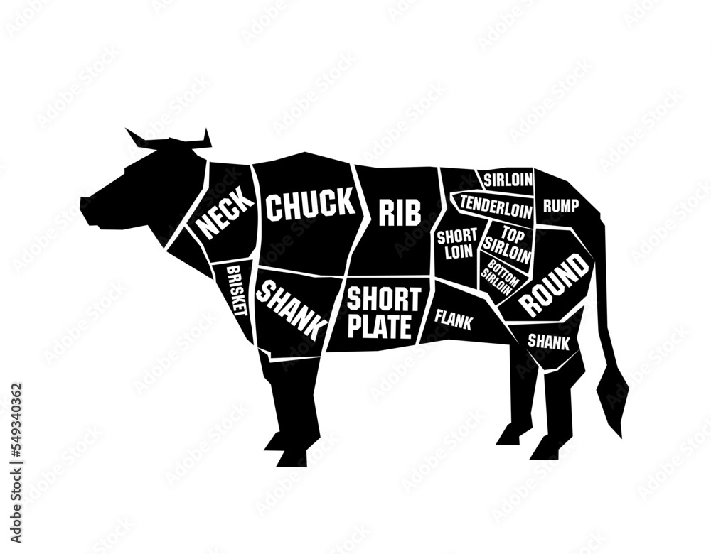 Butcher's guide: Cuts of beef scheme. Illustration of bull on white ...