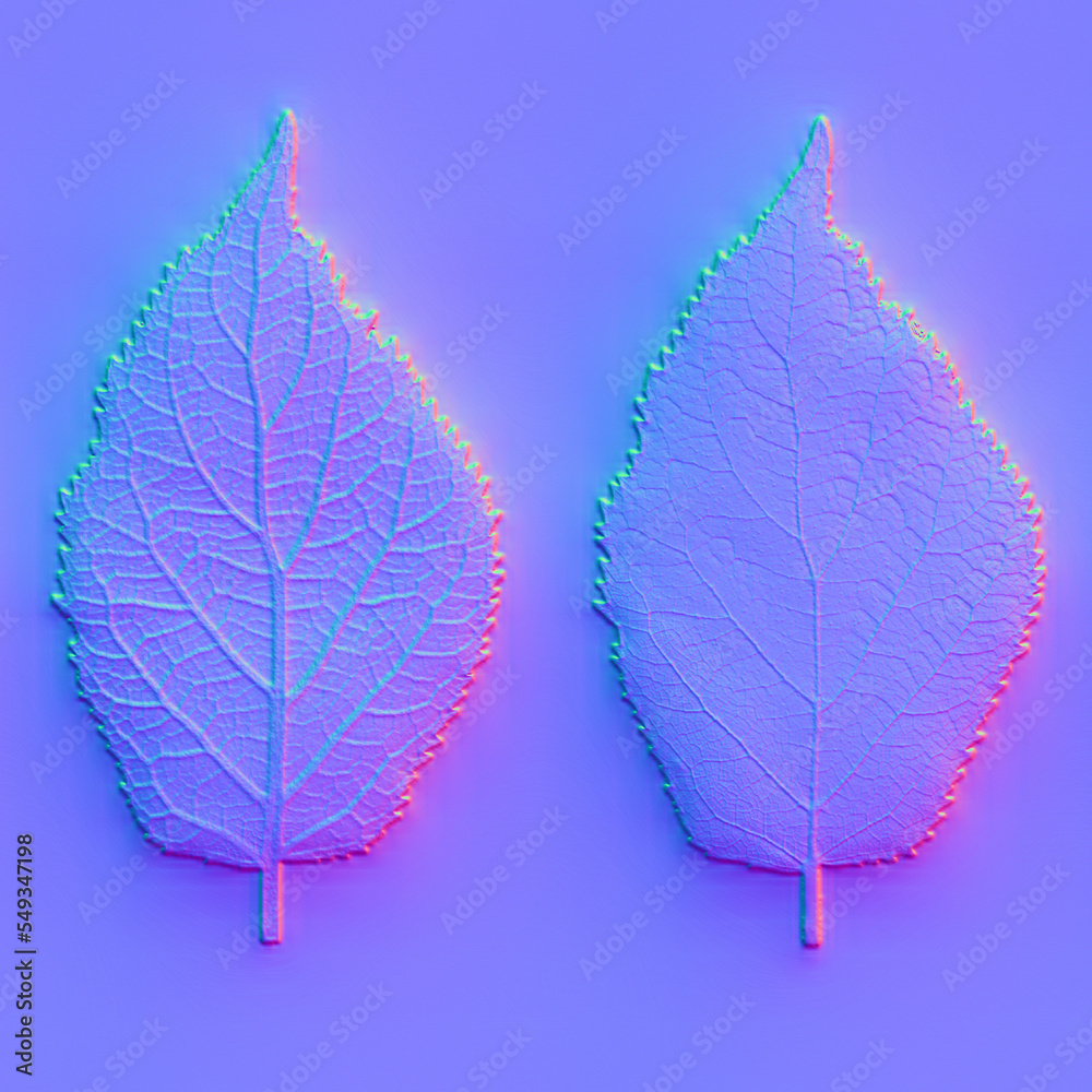 Leaves normal map texture. Leaf bump map. 素材庫插圖 | Adobe Stock