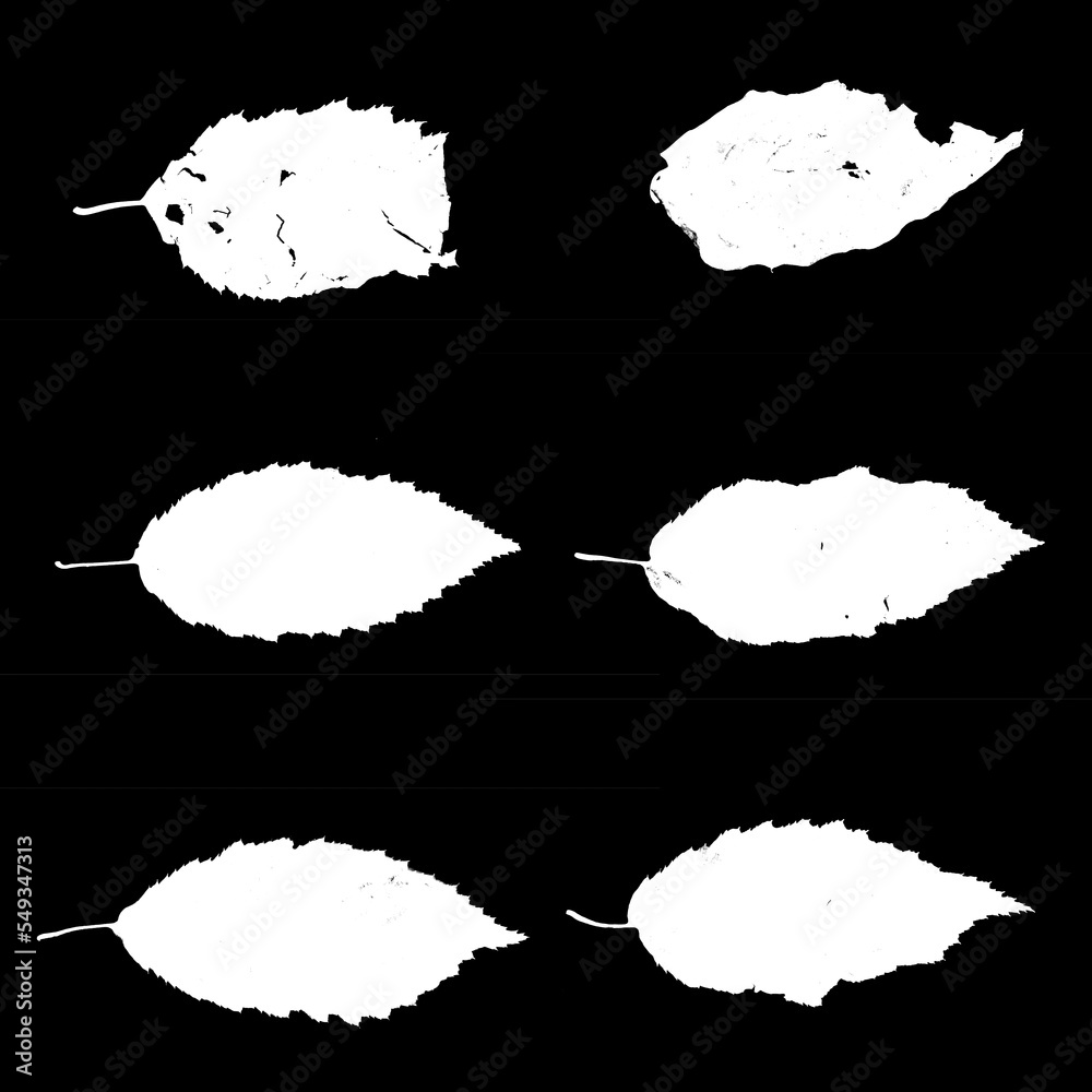 8K plant leaf opacity map texture. Leaf mask texture. Black and white ... 8K plant leaf opacity map texture. Leaf mask texture. Black and white ...