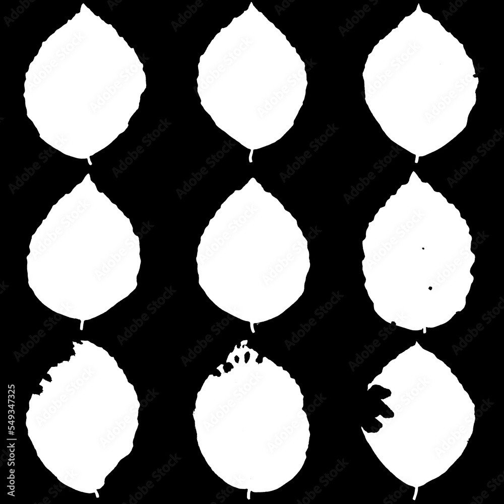 Ilustração do Stock: 8K plant leaf opacity map texture. Leaf mask ... Ilustração do Stock: 8K plant leaf opacity map texture. Leaf mask ...