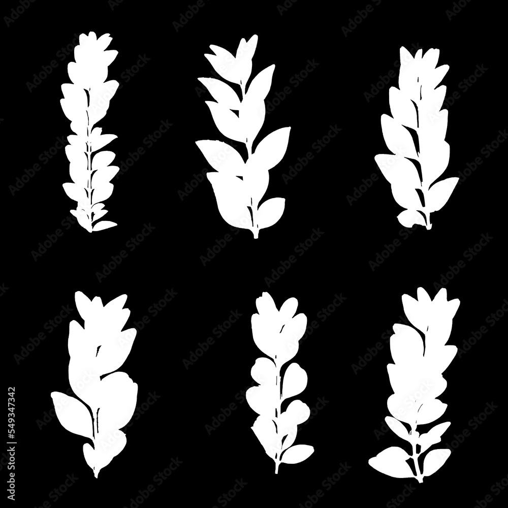 8K plant leaf opacity map texture. Leaf mask texture. Black and white ...