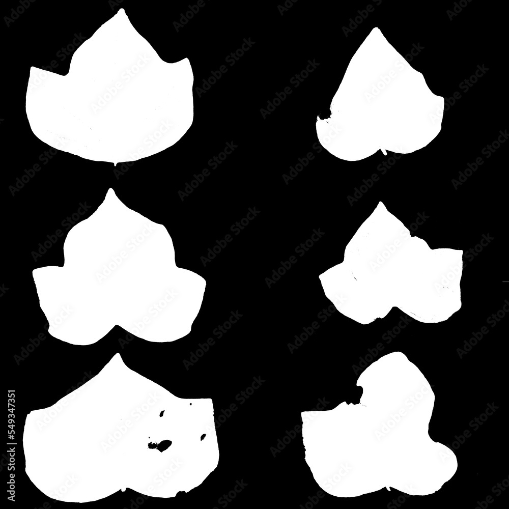 8K plant leaf opacity map texture. Leaf mask texture. Black and white ...