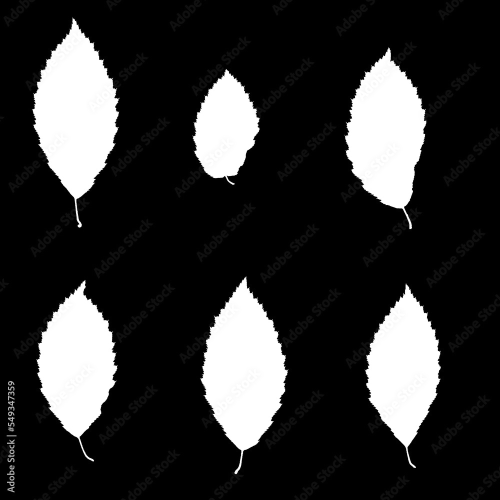 8K plant leaf opacity map texture. Leaf mask texture. Black and white ... 8K plant leaf opacity map texture. Leaf mask texture. Black and white ...