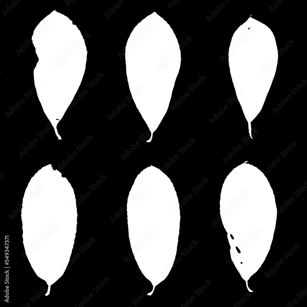 Ilustração do Stock: 8K plant leaf opacity map texture. Leaf mask ... Ilustração do Stock: 8K plant leaf opacity map texture. Leaf mask ...