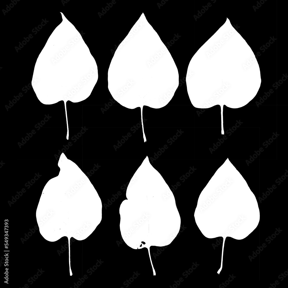 8K plant leaf opacity map texture. Leaf mask texture. Black and white ...