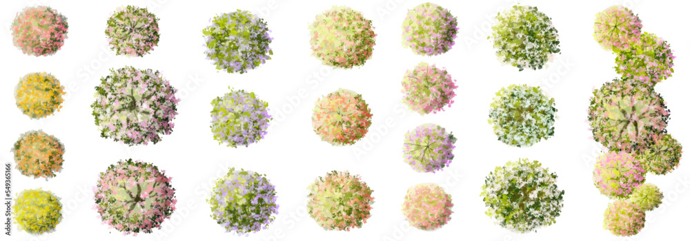 Vector watercolor blooming flower,tree or forest top view isolated on ...