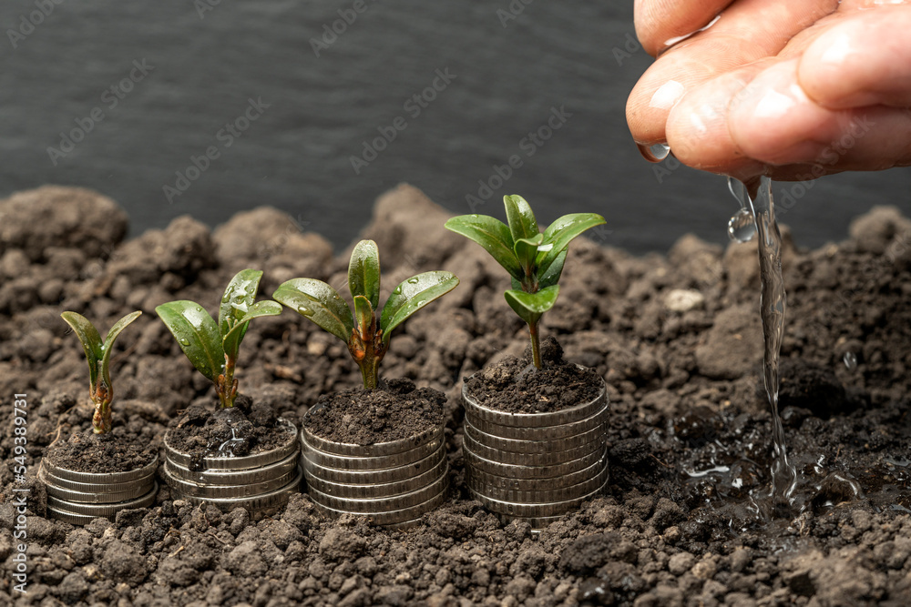 Money growth in soil with green leaves and trees concept, business and ...