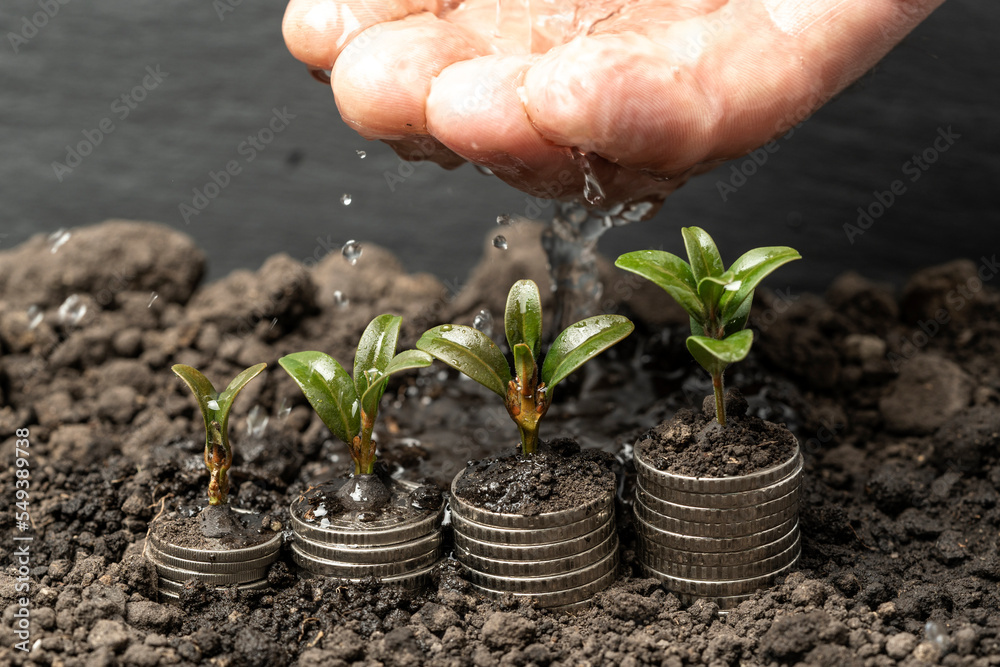 Money growth in soil with green leaves and trees concept, business and ...