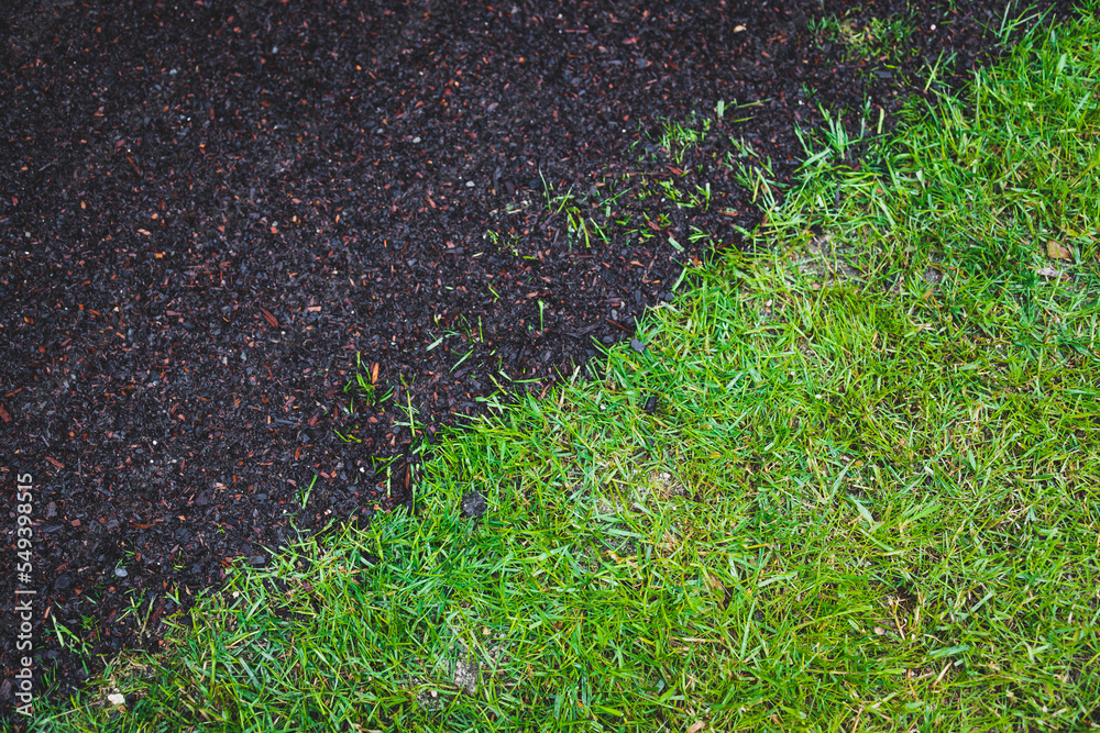 landscaping and taking care of the environment, green grass lawn next ...