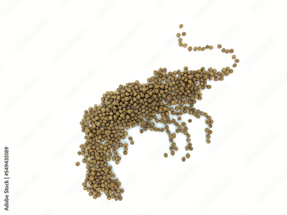 CONCEPT, SHRIMP PERFORMANCE, Feed Conversion Ratio, growth ...