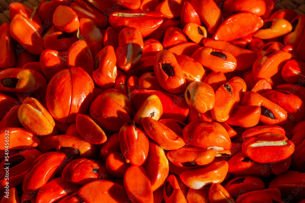 Wild edible seeds of the Natal mahogany African tree (Trichilia emetica ...