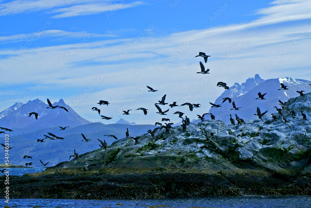 Beagle Channel - a strait in the Tierra del Fuego Archipelago, sea ...