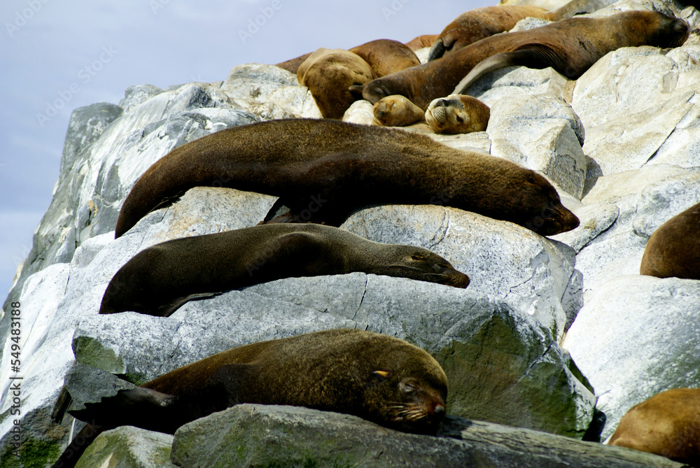 Beagle Channel - a strait in the Tierra del Fuego Archipelago, sea ...