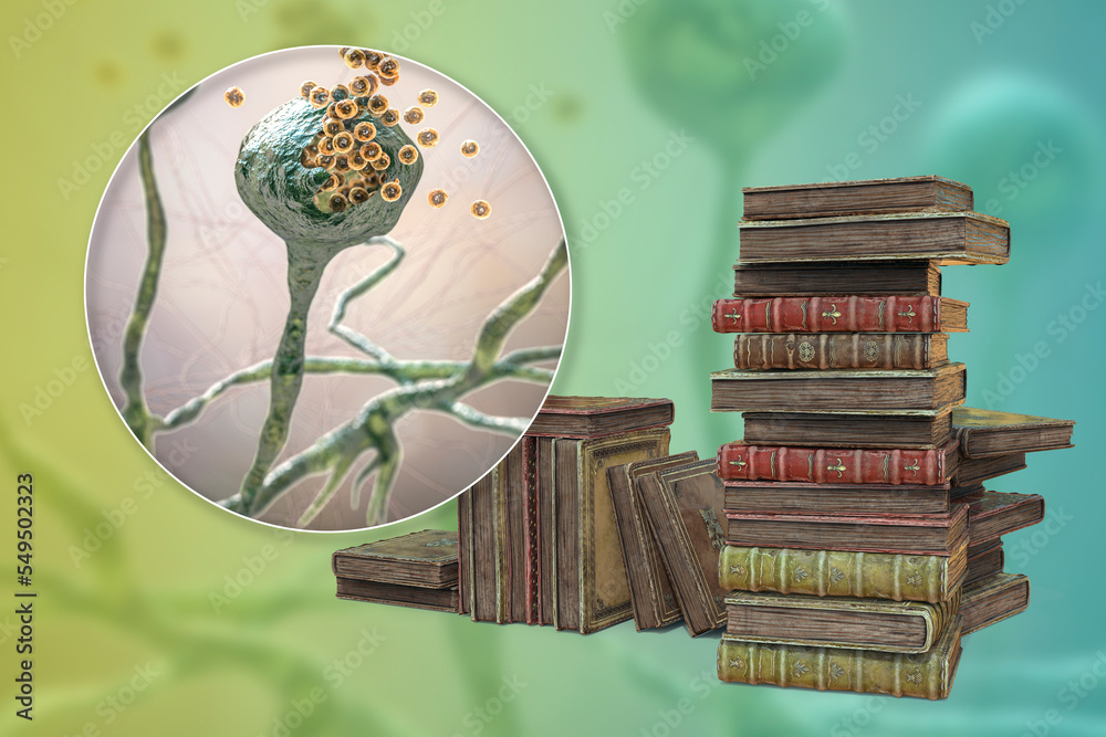 Mold in old books, 3D illustration Stock Illustration | Adobe Stock